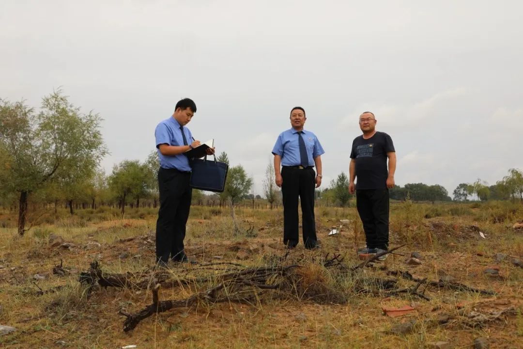 天骄·检益丨鄂尔多斯荒漠化防治典型案例展示（七） 三级四院联动 解决遗留矿坑治理难题_澎湃号·政务_澎湃新闻-The Paper