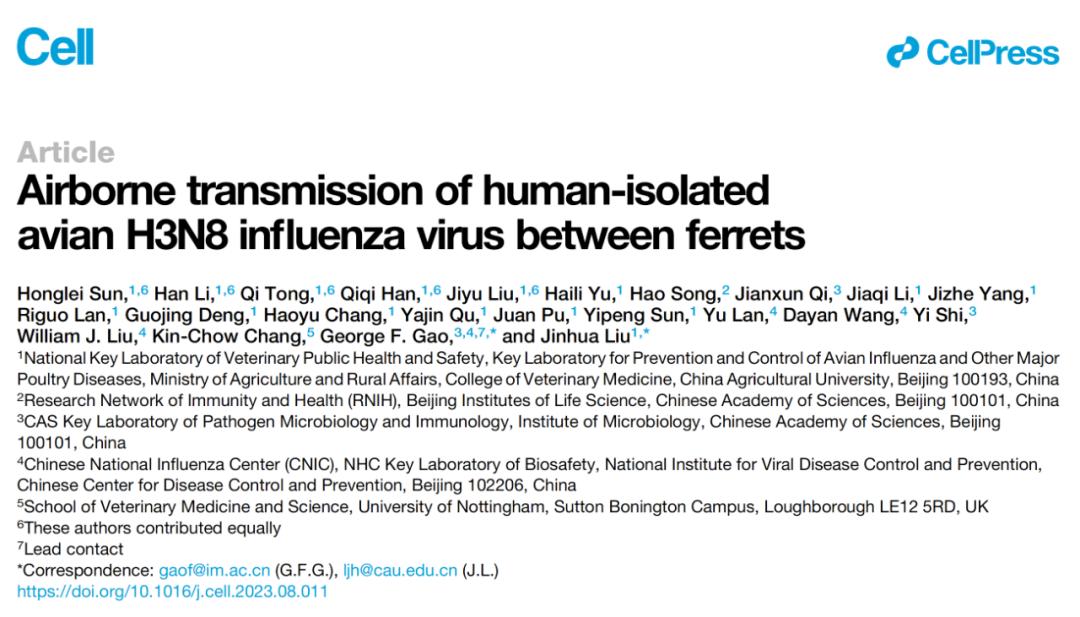 Cell：高福/刘金华团队揭示H3N8禽流感病毒在人类中的适应性突变，或增加广泛传播风险_澎湃号·湃客_澎湃新闻-The Paper