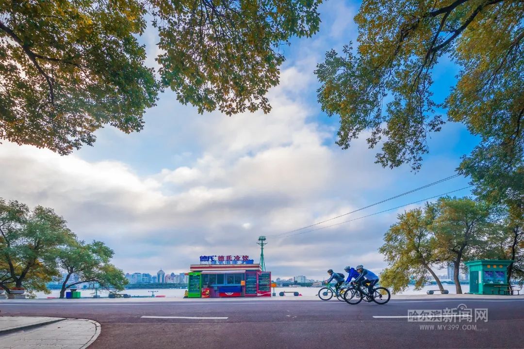 清风一朝胜 白露忽已凝丨冰城8日迎白露节气，冷空气转守为攻_澎湃号·政务_澎湃新闻-The Paper