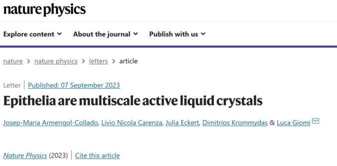 【复材资讯】“活性”液晶材料 | Nature Physics