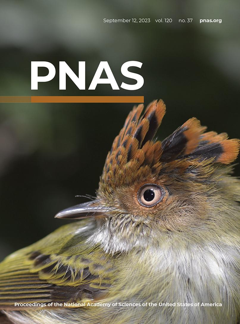 数学模型助力地震前兆预警 华南理工大学科研团队在PNAS发表最新成果