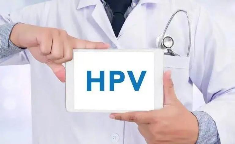 世界避孕日，你需要知道的HPV知识丨健康总动员_澎湃号·政务_澎湃新闻-The Paper