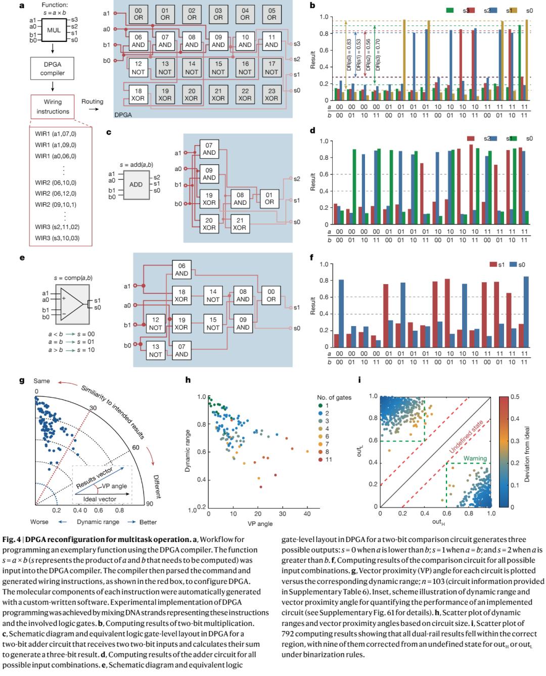 运行超千亿不同电路、可编程，国内团队DNA计算机论文登Nature_澎湃号·湃客_澎湃新闻-The Paper
