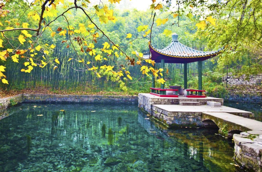 幸福来临丨Citywalk在临朐：来这里，融入临朐18度的深秋_澎湃号·政务_澎湃新闻-The Paper