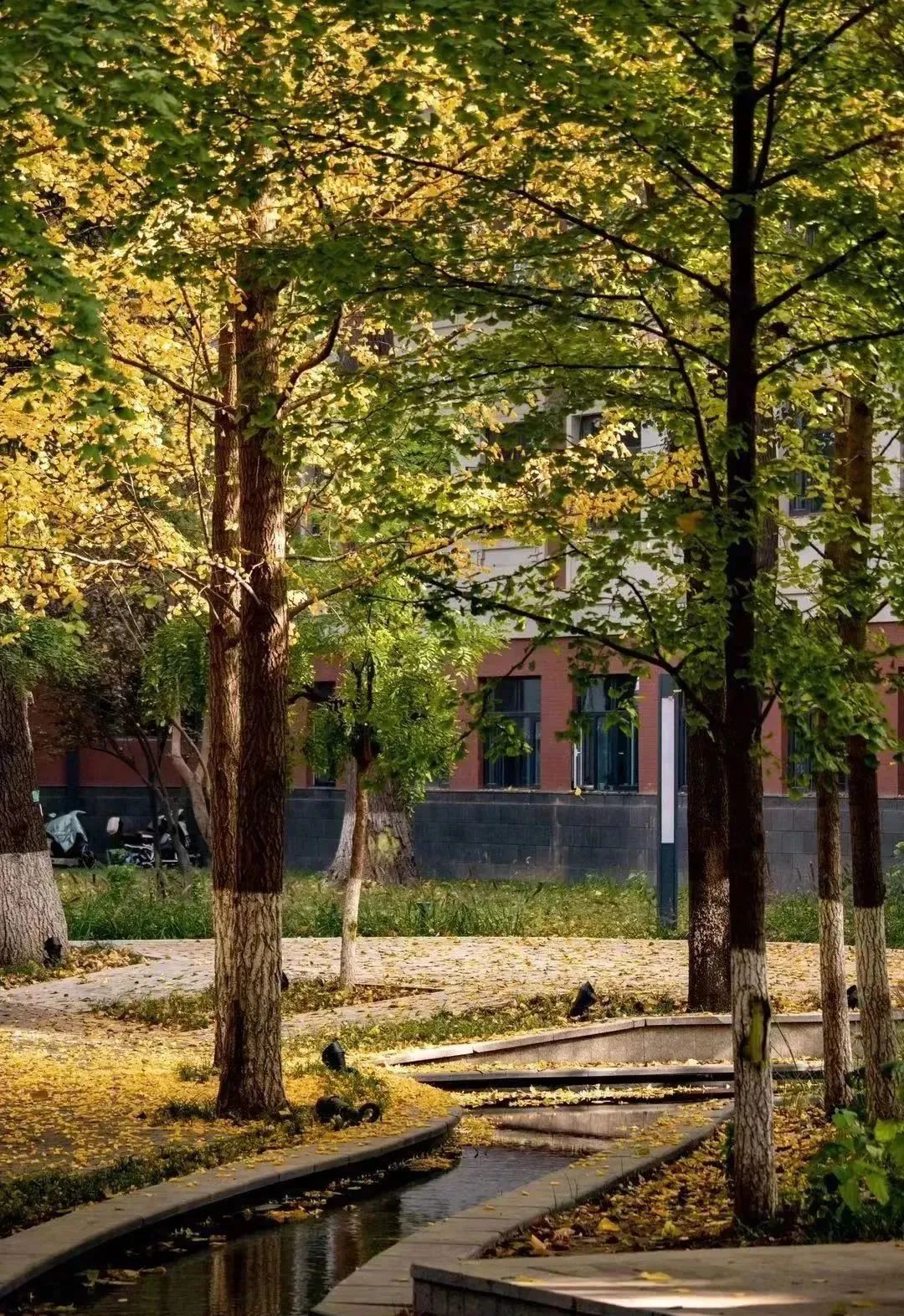 立冬：秋收冬藏，万物美好 | 高校里的二十四节气