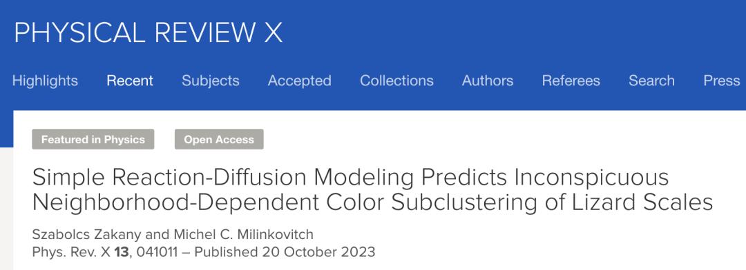 PRL速递：反应扩散模型预测蜥蜴鳞片颜色变化_澎湃号·湃客_澎湃新闻-The Paper
