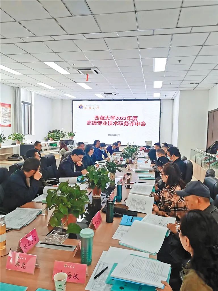 西藏深化职称制度改革工作 让创新的动力更澎湃_澎湃号·政务_澎湃新闻-The Paper