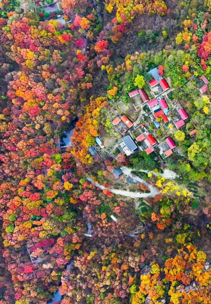 岂止“山 · 海 · 湖 · 岛 · 园”_澎湃号·政务_澎湃新闻-The Paper