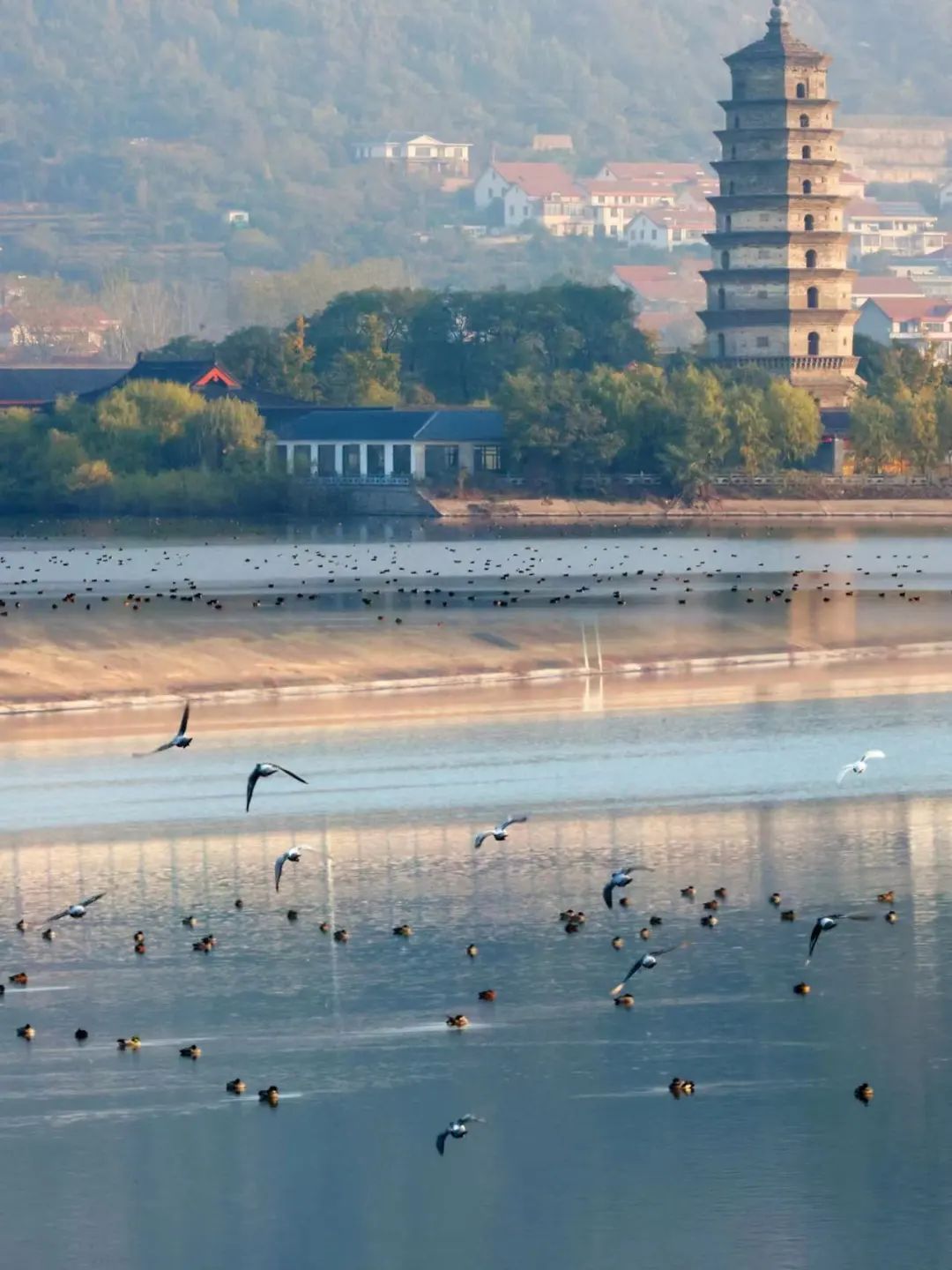 岂止“山 · 海 · 湖 · 岛 · 园”_澎湃号·政务_澎湃新闻-The Paper