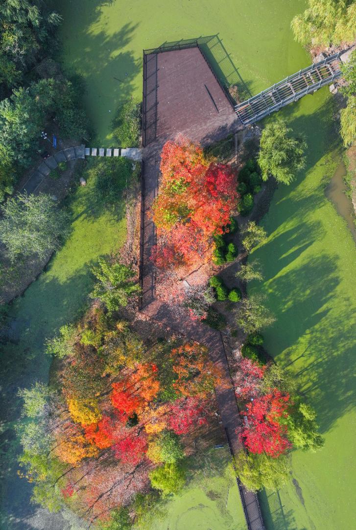 岂止“山 · 海 · 湖 · 岛 · 园”_澎湃号·政务_澎湃新闻-The Paper