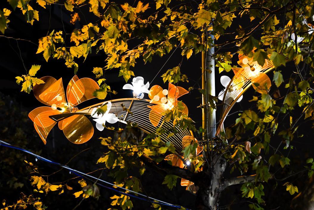 【最新】淮海中路夜景提升！“玉兰绣春”迎新年~_澎湃号·政务_澎湃新闻-The Paper