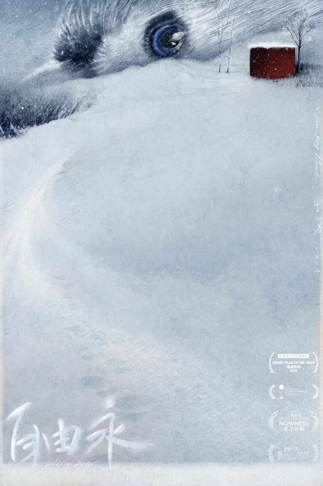 第5届NOWNESS天才计划荣誉揭晓_澎湃号·湃客_澎湃新闻-The Paper