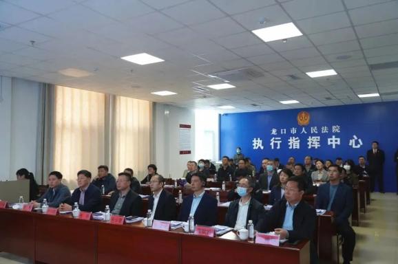 卓越龙法 | 2023年终盘点•“枫”景_澎湃号·政务_澎湃新闻-The Paper