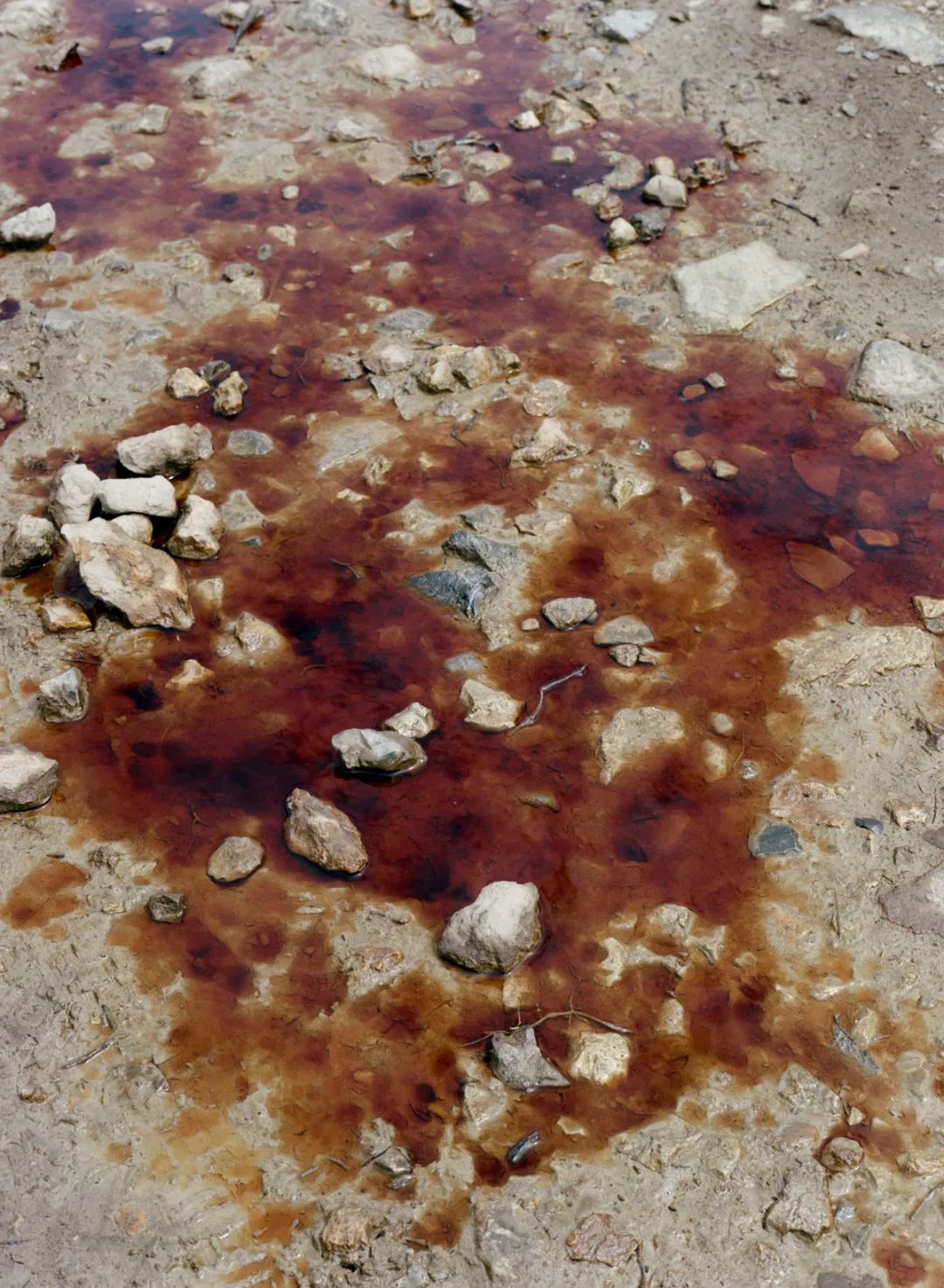 喜欢摄影师 Jess Gough（中篇）_澎湃号·湃客_澎湃新闻-The Paper