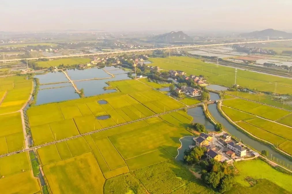 省级引领型村社！余杭+5！_澎湃号·政务_澎湃新闻-The Paper