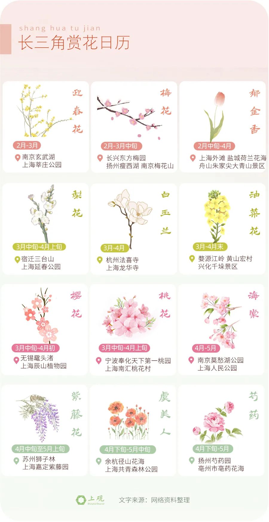 年轻人扎堆去寺庙赏花了_澎湃号·湃客_澎湃新闻-The Paper