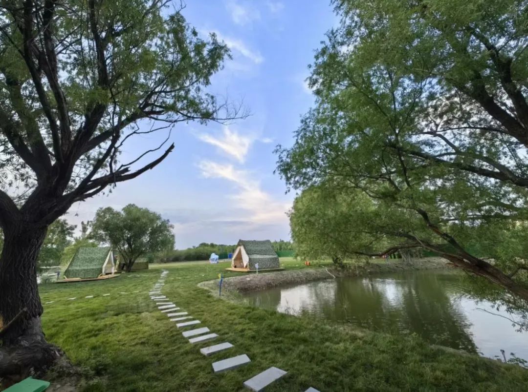 野餐露营约起~每一处都是100％的出片！_澎湃号·政务_澎湃新闻-The Paper