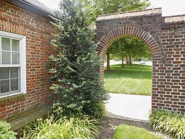 Carissa Dorson：与父亲的对话_澎湃号·湃客_澎湃新闻-The Paper