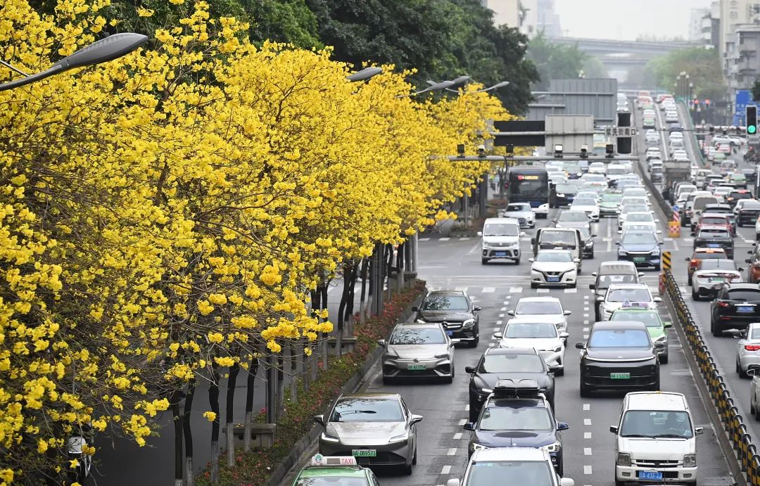 Top1！Top2！成都何以接住小长假流量？_澎湃号·政务_澎湃新闻-The Paper