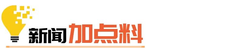 落叶归根！“丁龙”后人向台山捐赠珍贵文物