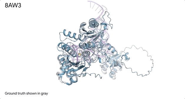 所有生命分子一夜皆可AI预测！AlphaFold 3改变人类对生命的理解，全球科学家都能免费使用_澎湃号·湃客_澎湃新闻-The Paper