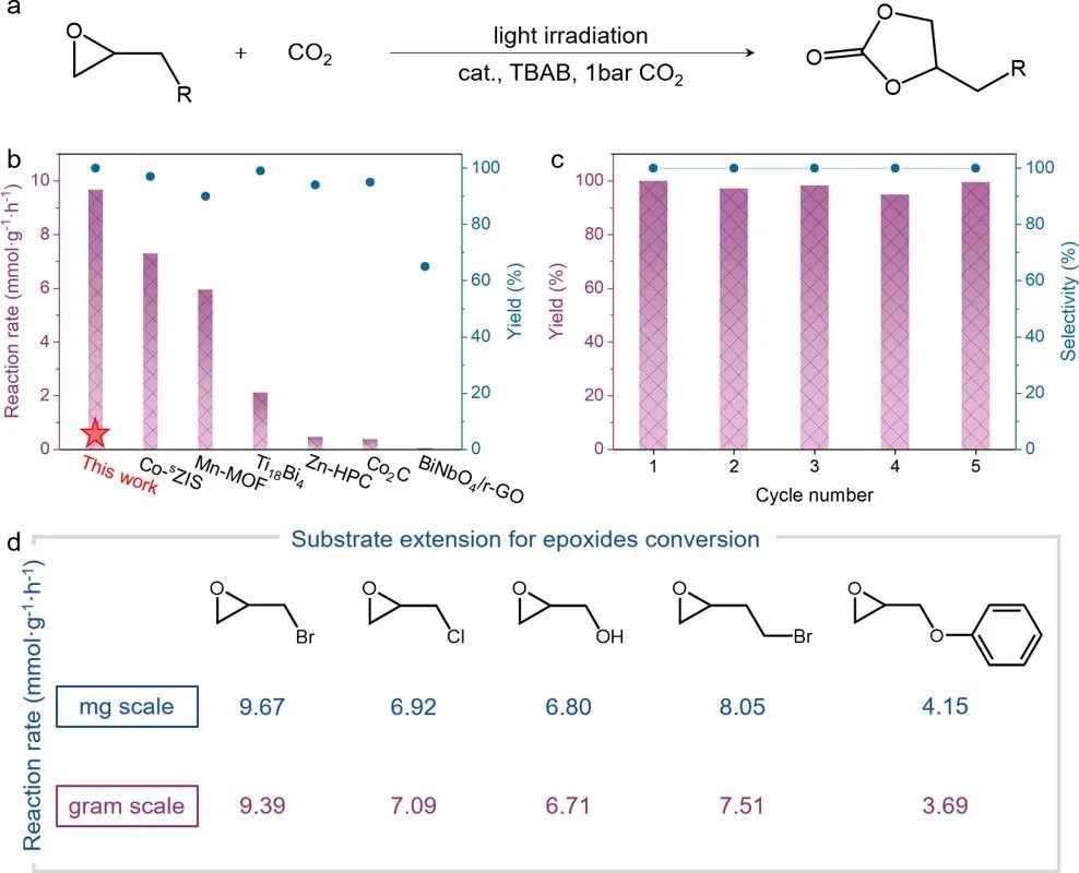 CCS Chemistry | 中国科学技术大学谢毅教授和张晓东教授团队：仿生类叶绿素Mg-N₄结…_澎湃号·政务_澎湃新闻-The Paper