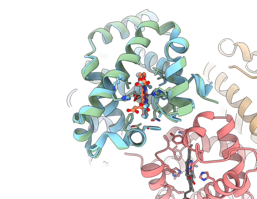 最新发布的AlphaFold 3有多厉害？我们请使用者聊了聊_澎湃号·湃客_澎湃新闻-The Paper