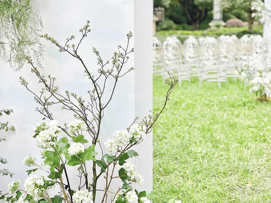 520，100对铜陵青年人才的集体婚礼在这举办！_澎湃号·政务_澎湃新闻-The Paper