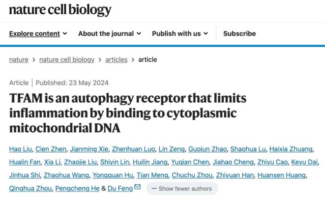 【科技前沿】Nature Cell Biology|冯杜团队报道TFAM作为自噬受体介导胞质中mt…_澎湃号·政务_澎湃新闻-The Paper