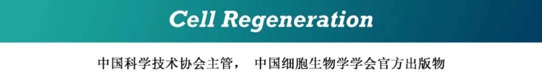 【前沿进展】Cell Regen | 再生修复过程中的巨噬细胞_澎湃号·政务_澎湃新闻-The Paper