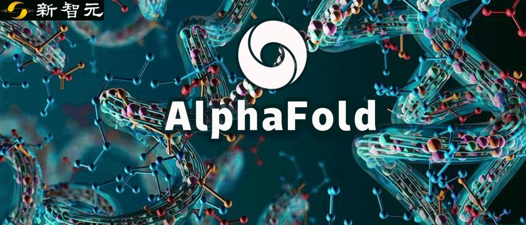 AlphaFold的伟大，只因做对了这5件事，DeepMind副总裁：团队注定会取得突破_澎湃号·湃客_澎湃新闻-The Paper