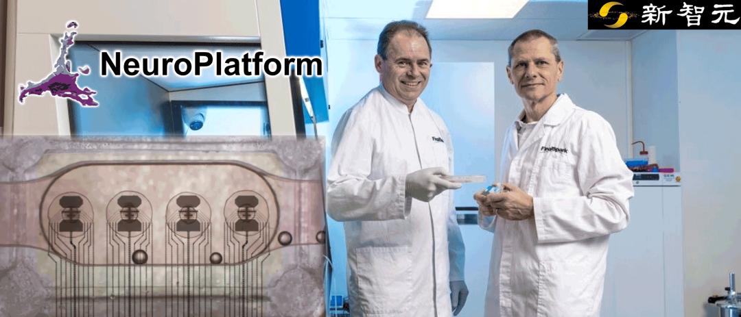 瑞士发布世界首个生物处理器！16个人脑类器官开放全球远程访问，能耗降低一百万倍_澎湃号·湃客_澎湃新闻-The Paper