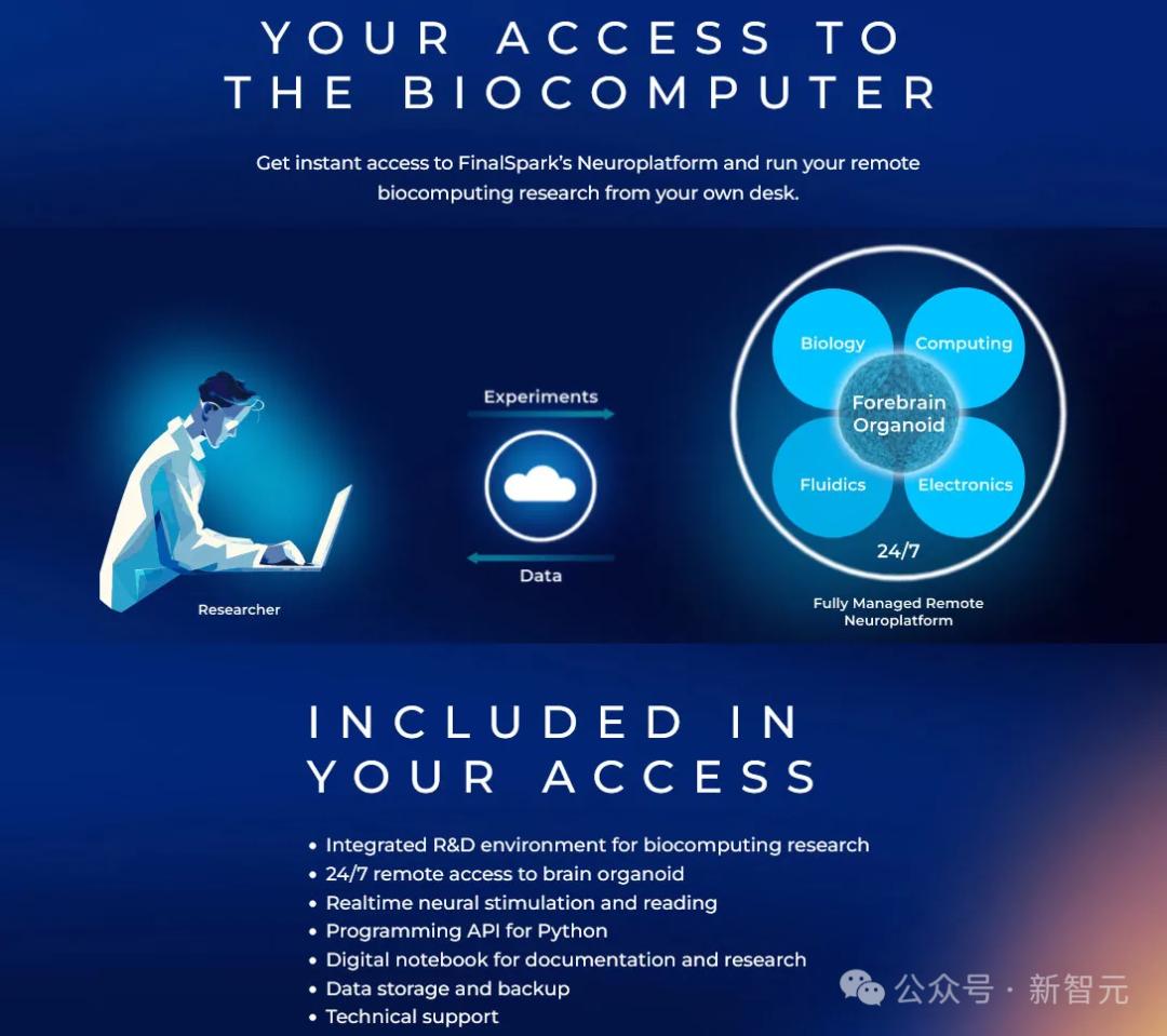 瑞士发布世界首个生物处理器！16个人脑类器官开放全球远程访问，能耗降低一百万倍_澎湃号·湃客_澎湃新闻-The Paper
