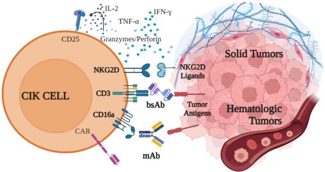 CIK免疫细胞治疗肺癌：患者实现13年长生存期_澎湃号·湃客_澎湃新闻-The Paper