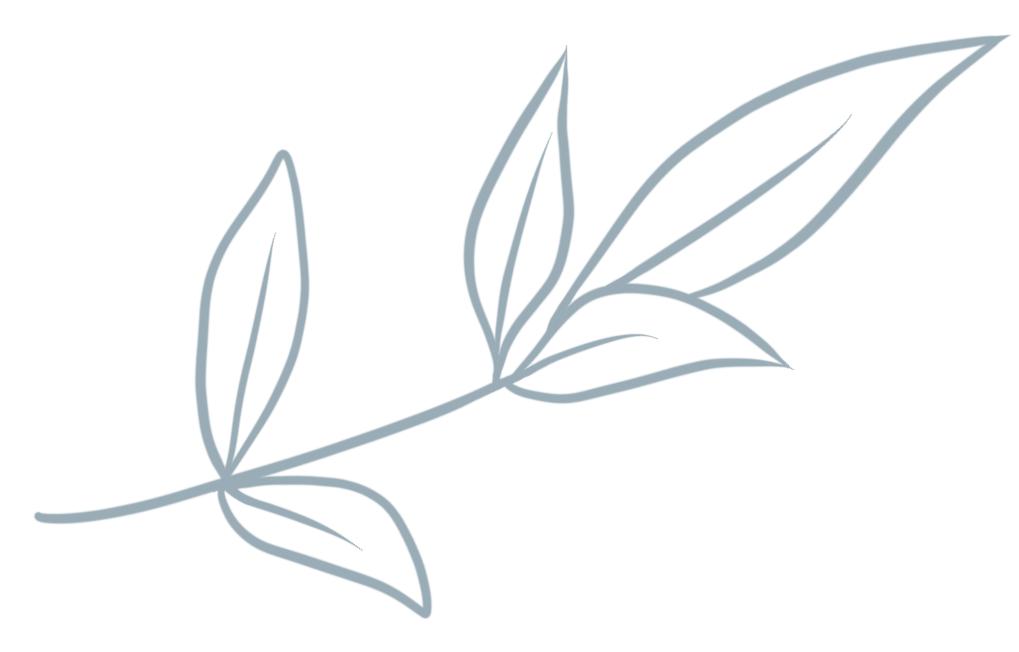 欢迎参加 | 北大经院“国际顶刊主编讲坛”之JEH主编Bishnupriya Gupta教授经济史…_澎湃号·政务_澎湃新闻-The Paper