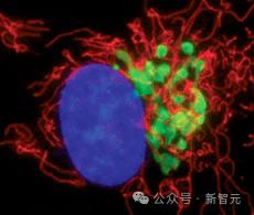 模拟5亿年自然进化史，全新蛋白质大模型ESM3诞生！前Meta老将力作LeCun转赞_澎湃号·湃客_澎湃新闻-The Paper