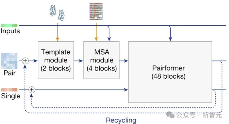 斯坦福博士图解AlphaFold 3：超多细节+可视化还原ML工程师眼中的AF3_澎湃号·湃客_澎湃新闻-The Paper