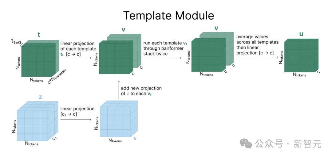 斯坦福博士图解AlphaFold 3：超多细节+可视化还原ML工程师眼中的AF3_澎湃号·湃客_澎湃新闻-The Paper