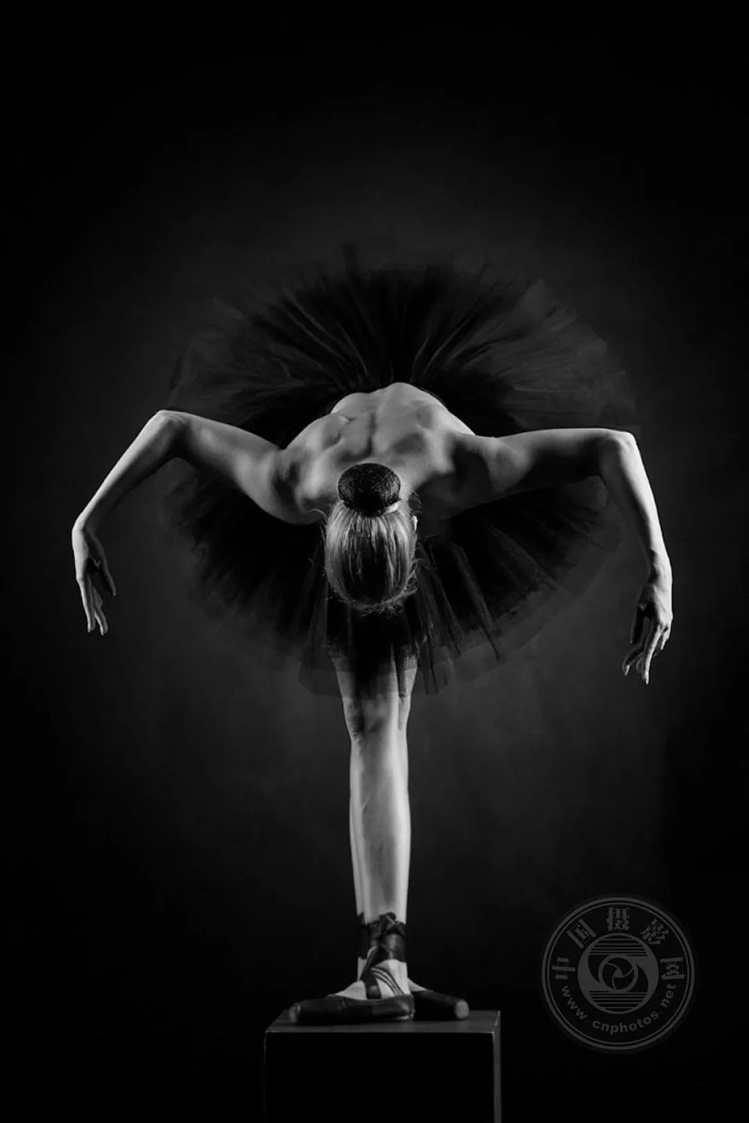 揭晓 | 2024年阿塞拜疆国际摄影大赛（单色组）获奖作品公布_澎湃号·湃客_澎湃新闻-The Paper