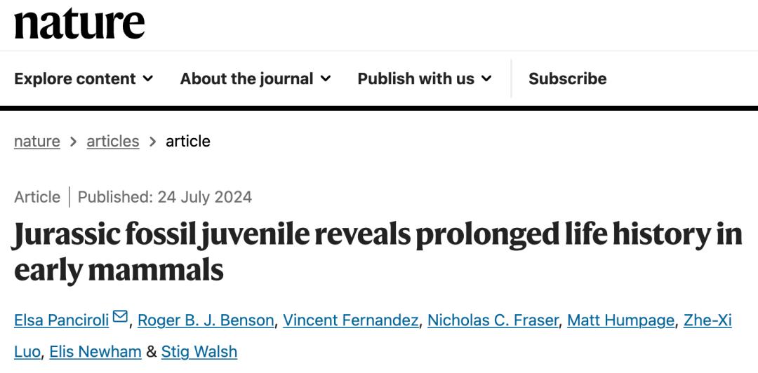 Nature：小型哺乳动物曾经长得更慢、寿命更长