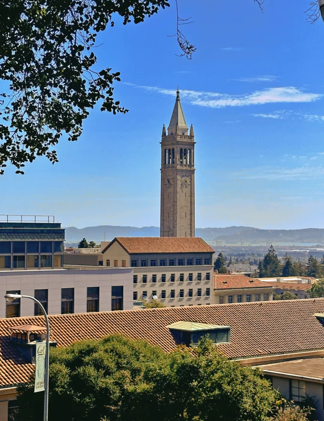 夏日时光机：打开属于我们的暑期生活_澎湃号·政务_澎湃新闻-The Paper