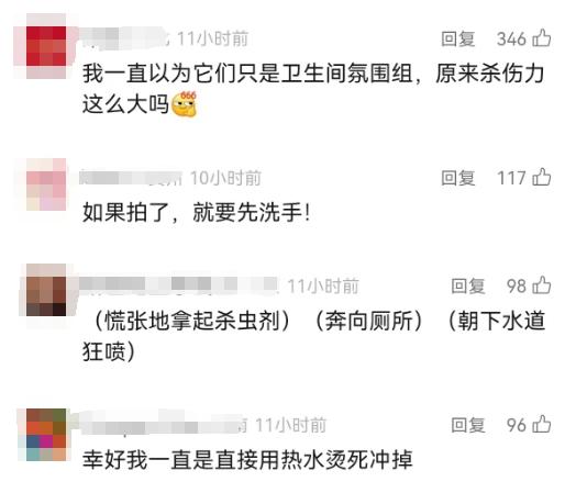 这种小虫，最近上海几乎家家都有！竟然这么毒？男子拍死一只，被迫摘除眼球！_澎湃号·政务_澎湃新闻-The Paper
