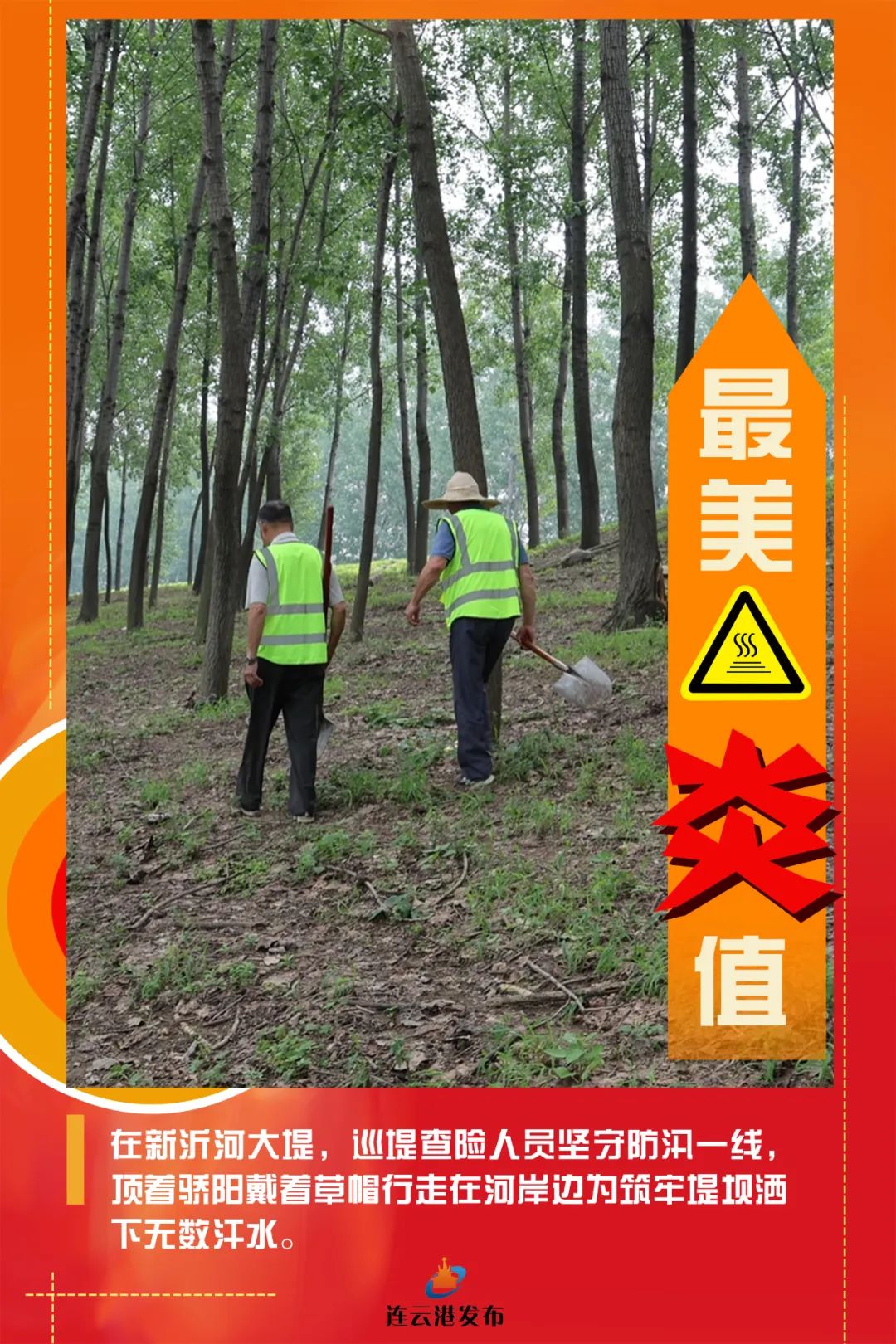 三伏天，最美 yán 值！_澎湃号·政务_澎湃新闻-The Paper