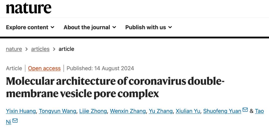 Nature：香港大学倪涛/袁硕峰团队解析冠状病毒DMV孔复合物结构_澎湃号·湃客_澎湃新闻-The Paper