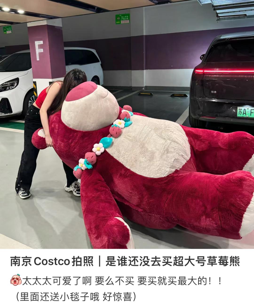 江浙沪年轻人，把Costco逛成了迪士尼？_澎湃号·湃客_澎湃新闻-The Paper