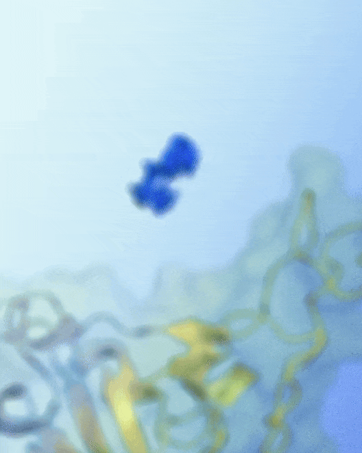 DeepMind Alpha家族新成员：AlphaProteo蛋白质设计成功率破纪录_澎湃号·湃客_澎湃新闻-The Paper