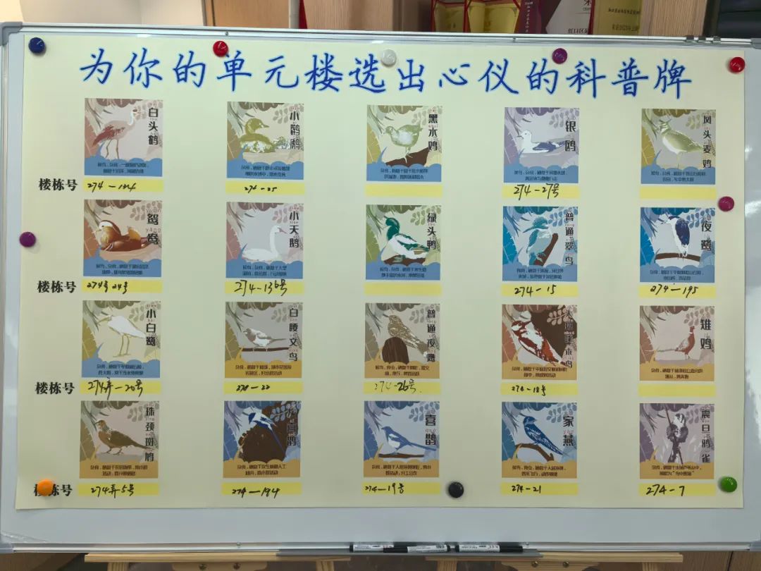 花鸟科普，点缀楼道文化~_澎湃号·政务_澎湃新闻-The Paper