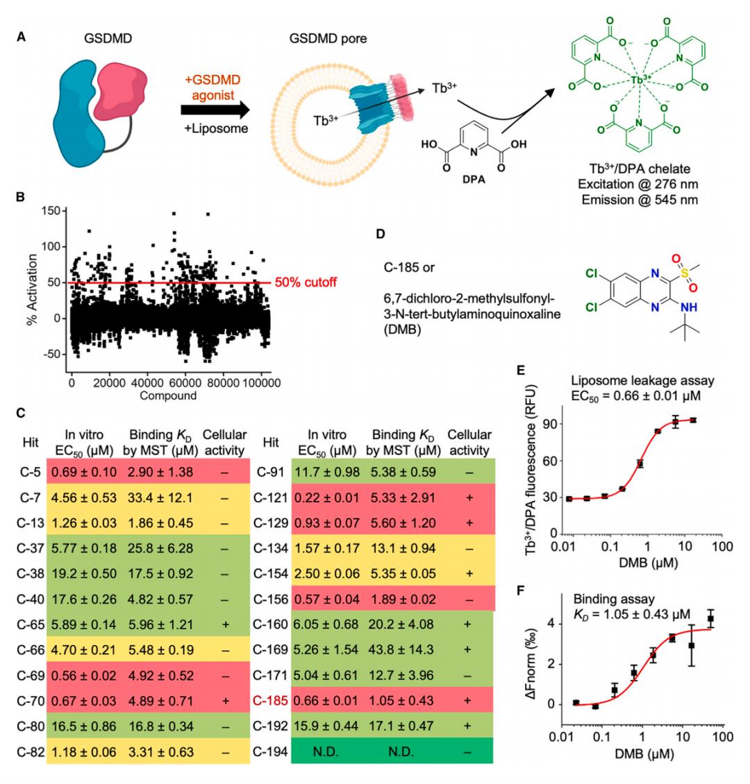 Cell：利用细胞焦亡治疗癌症，吴皓团队发现激活抗肿瘤免疫且无毒的GSDMD小分子激动剂_澎湃号·湃客_澎湃新闻-The Paper