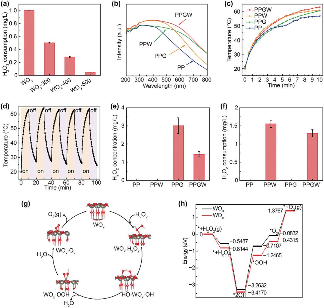 【复材资讯】西北工业大学AFM：多功能水凝胶有效促进细菌感染糖尿病伤口愈合