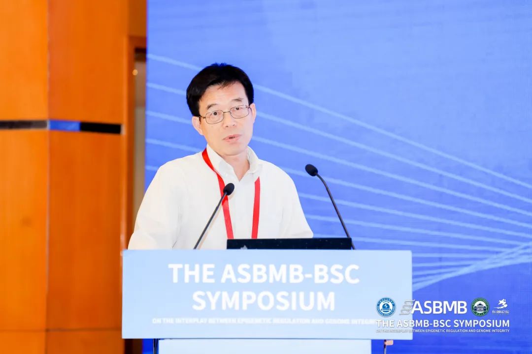 【学会动态】2024 ASBMB-BSC基因组稳定性与表观遗传调控研讨会在武汉成功召开